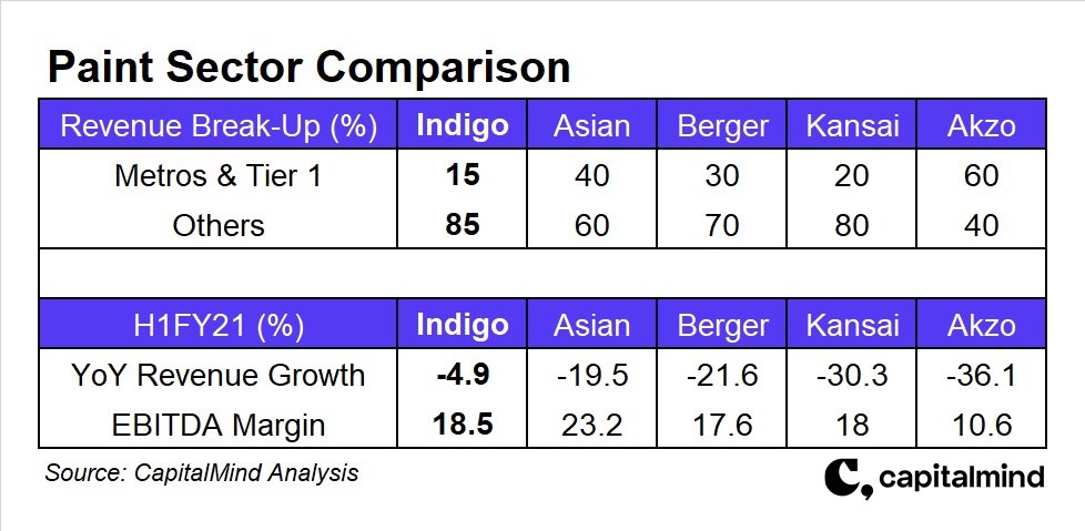 Indigo Paints IPO: Should You Invest? » Capitalmind - Better Investing